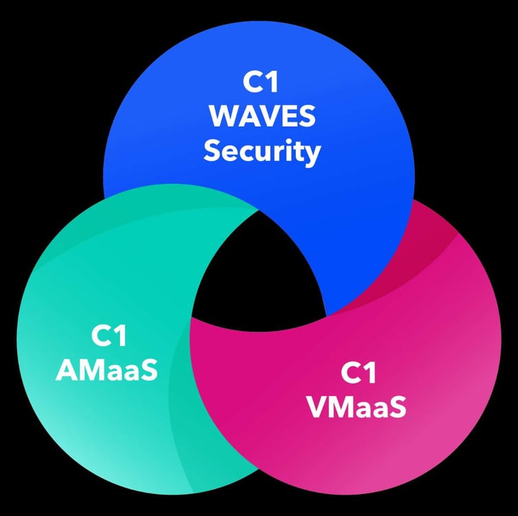 Risk Mitigation | C1