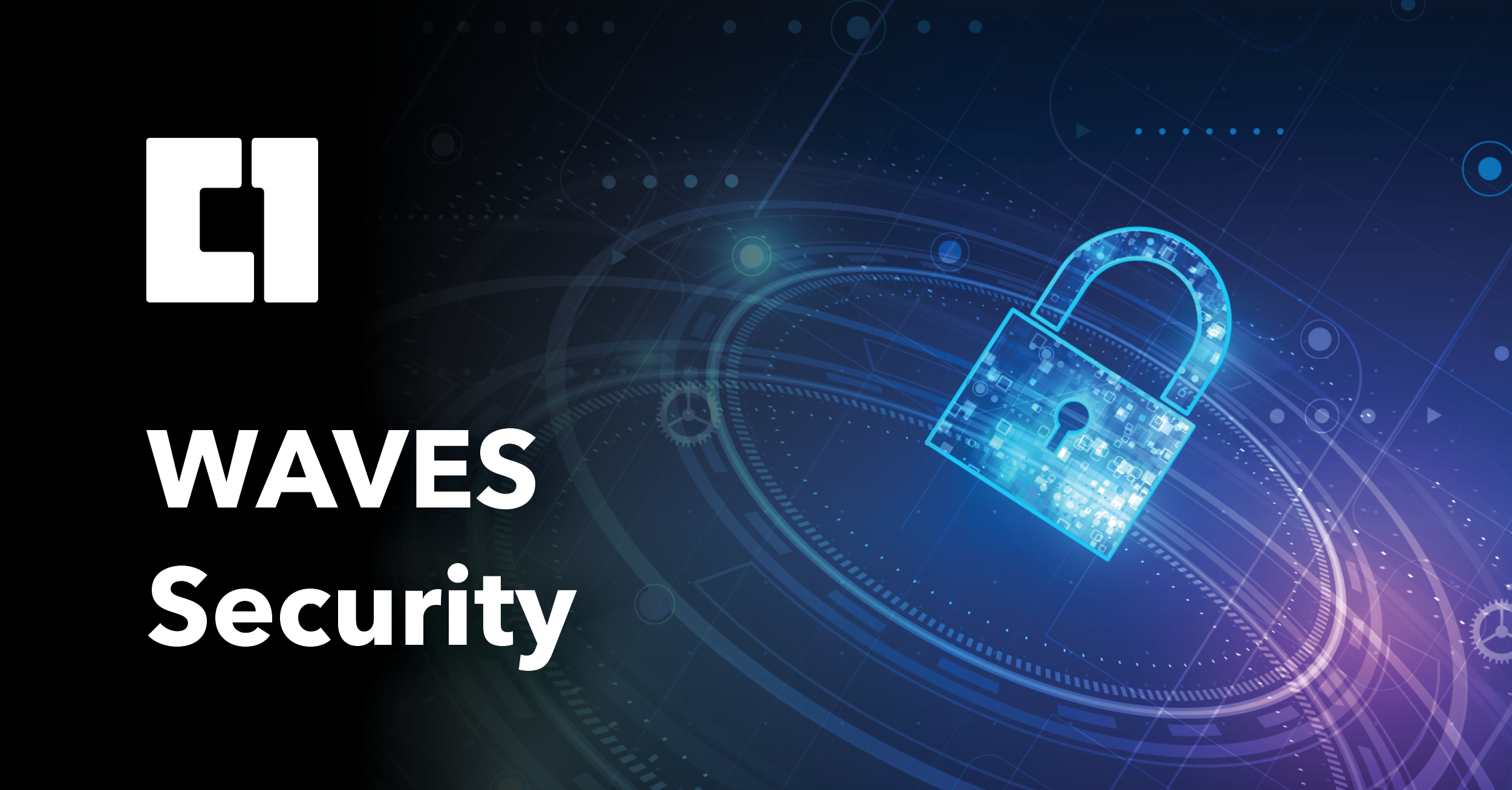 WAVES Security | C1